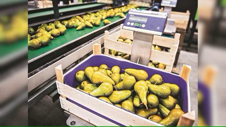 We’re Reimagining Retail For Next 500 Mn Indians: CityMall CEO Angad ...